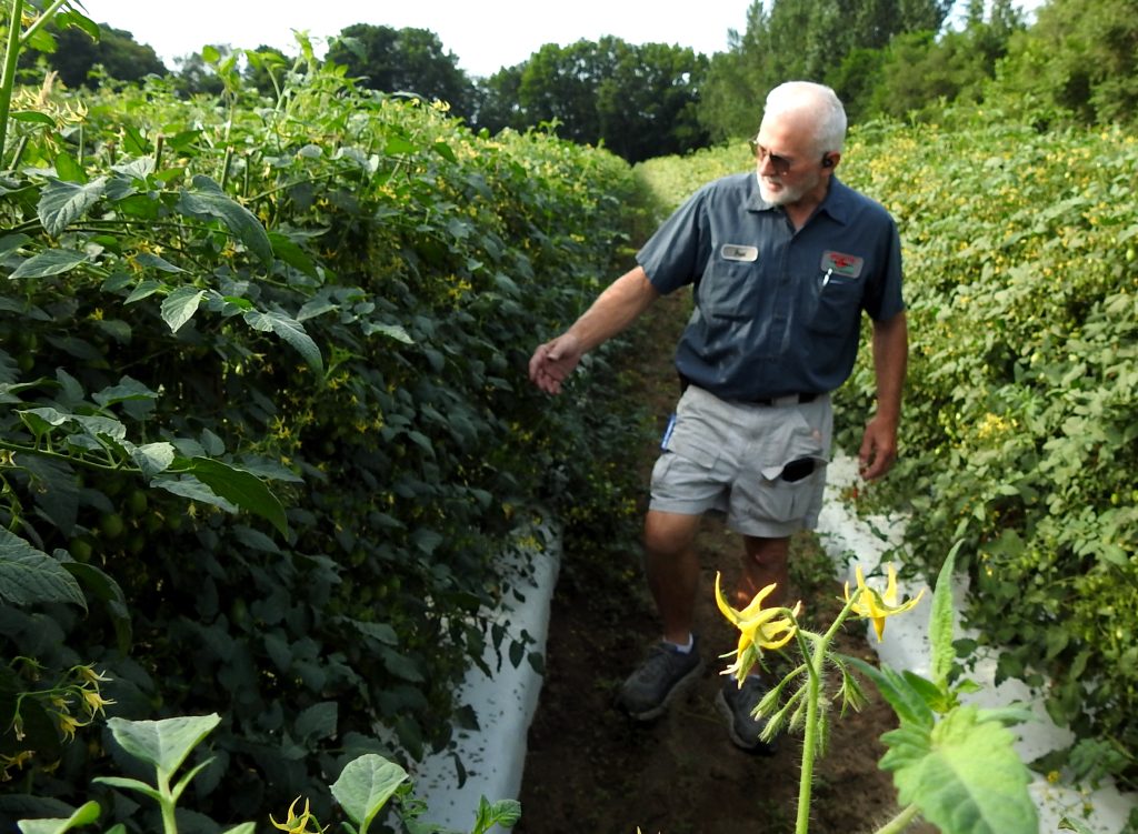 ‘We just can’t compete’: Southwest Michigan farmers caught between high ...