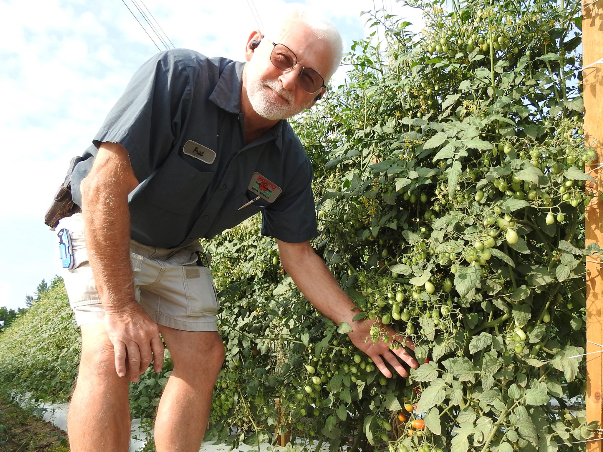 ‘We just can’t compete’: Southwest Michigan farmers caught between high ...