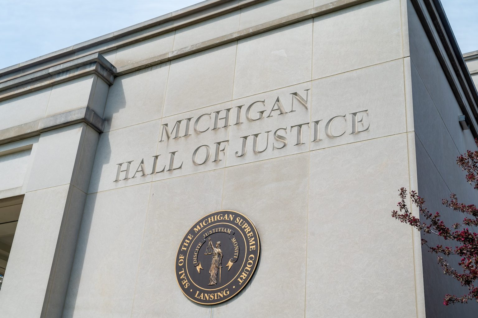 Michigan mental health service shift blocked by Court of Claims ...